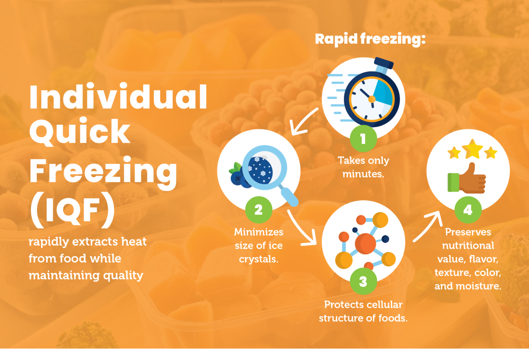 Path to Frozen - AFFI Frozen Advantage - Frozen Food Education